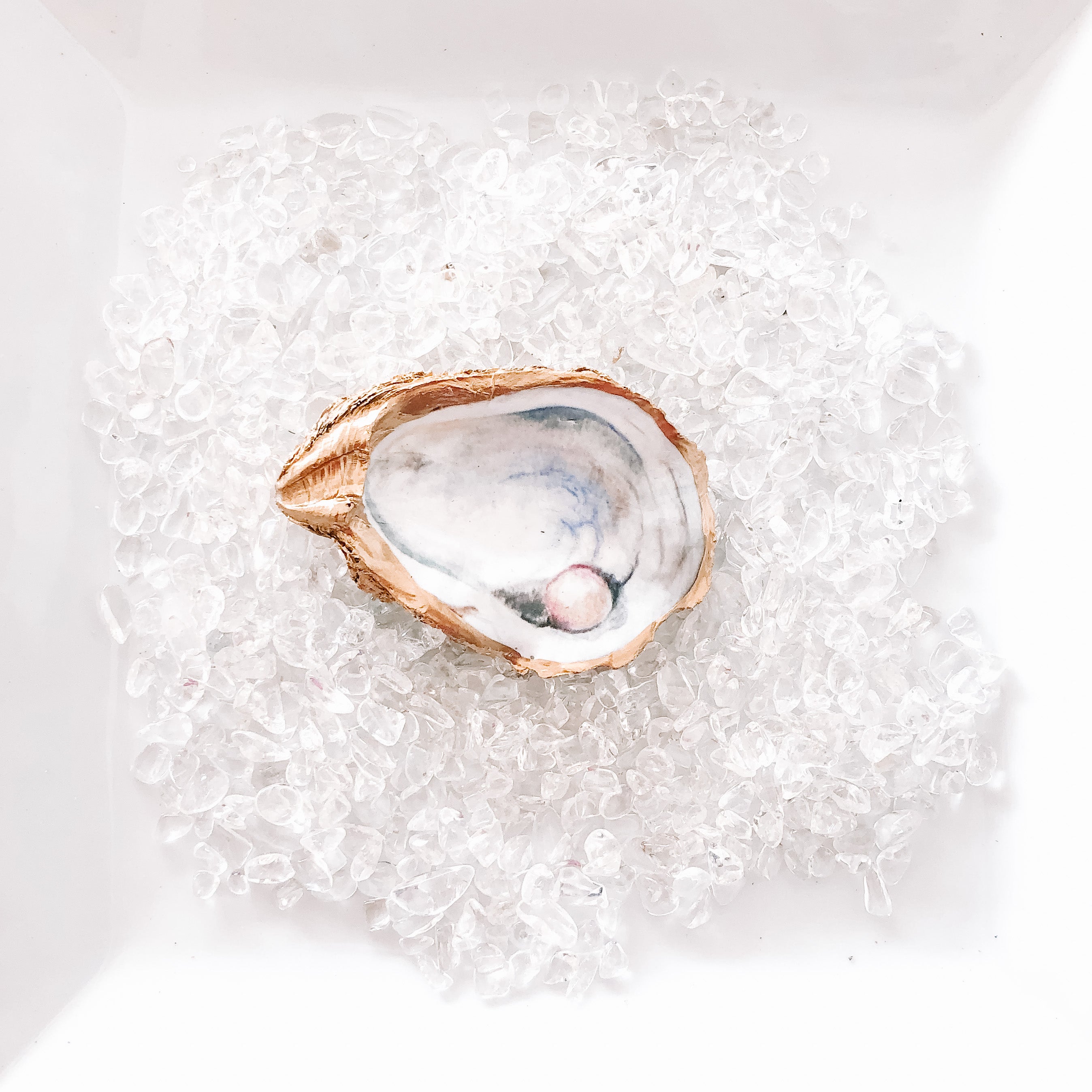 On the Half Shell – Kcrookdesign